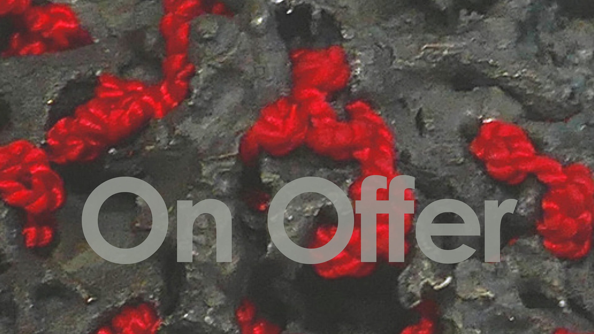 On Offer - Art Jewelry Forum